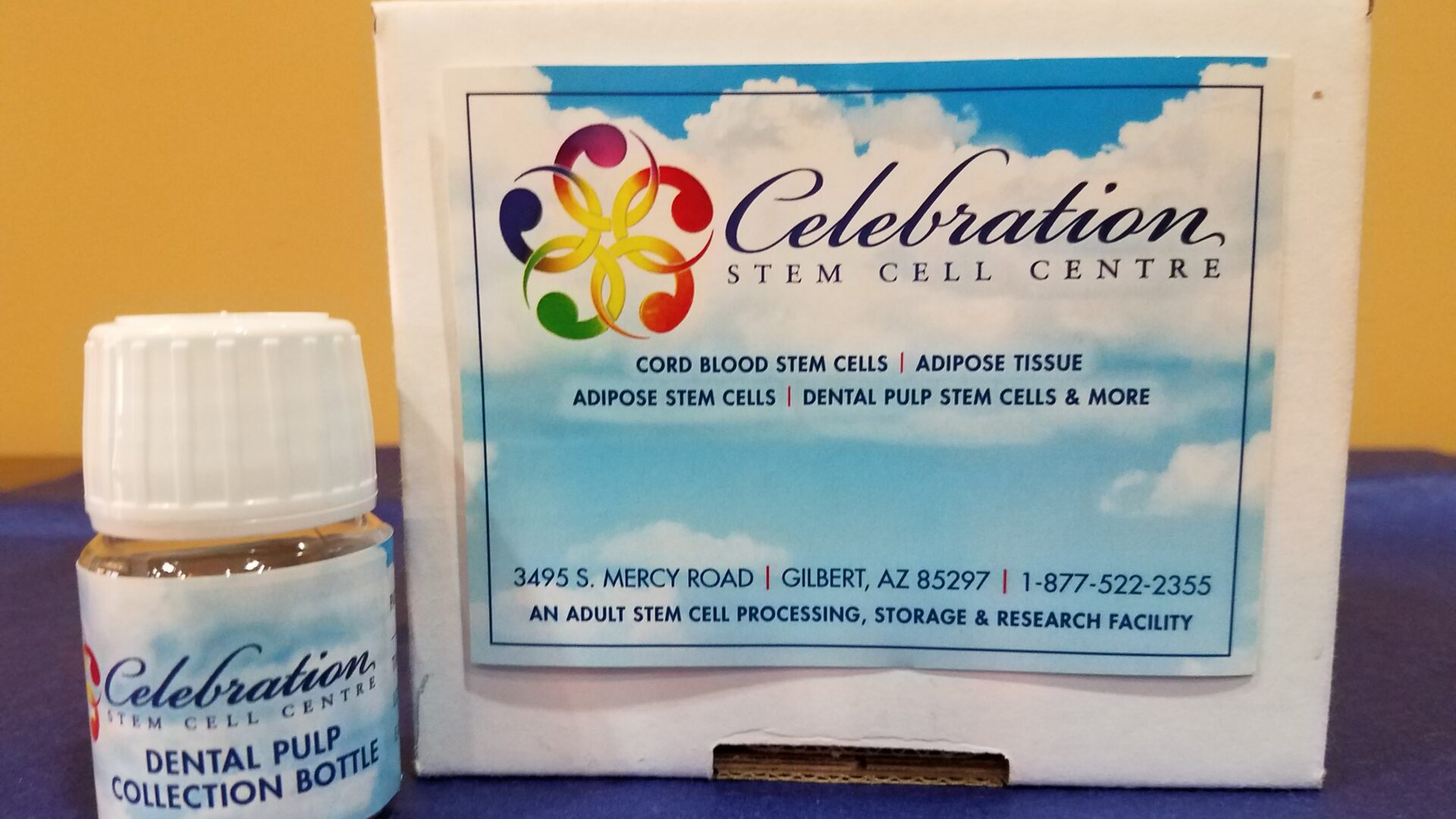 Services – Celebration Stem Cell Centre